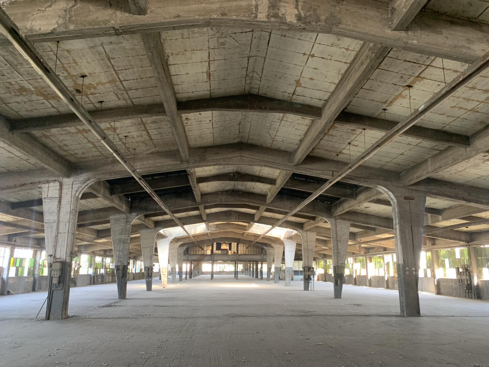 Οργανισμός - ΟΔΑΠ